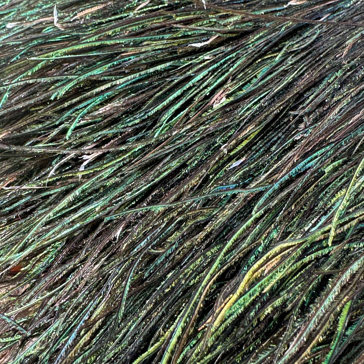 Upavon Premium Peacock Herl