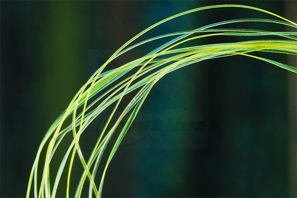 Troutline UV Micro Ribbing Quill for Fly Tying | Upavon Fly Fishing